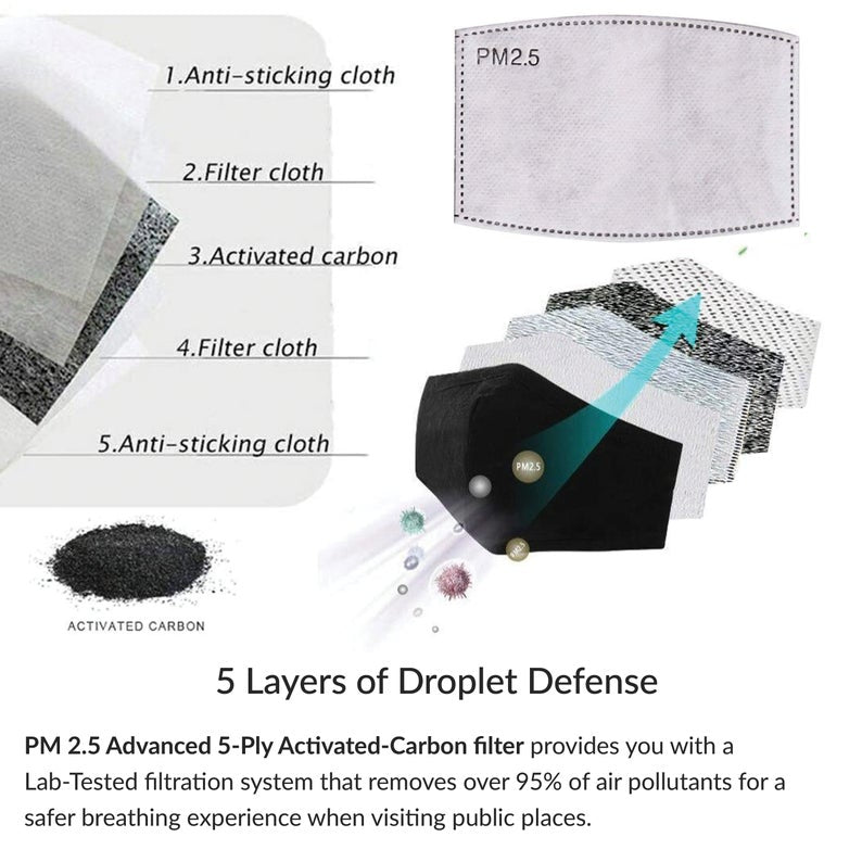 Carbon pm 2.5 filter store